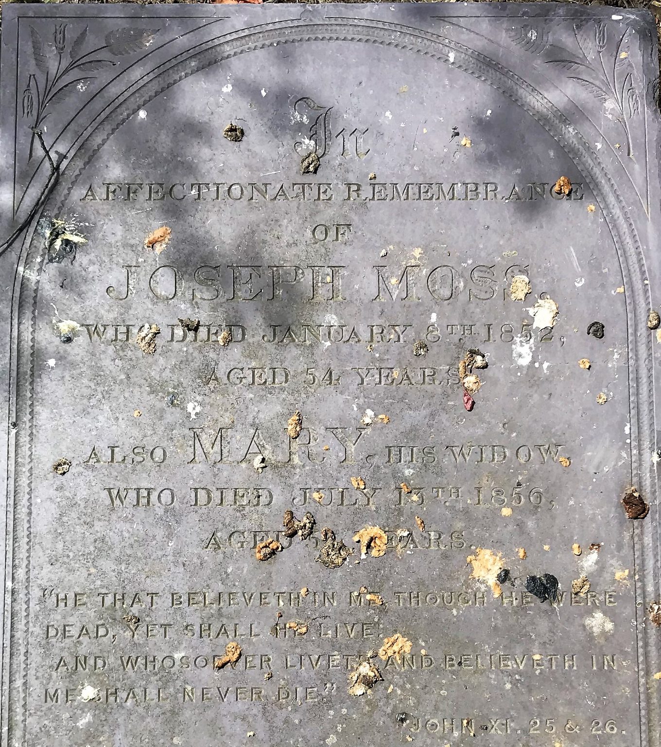 Old Ilkeston » John Moss